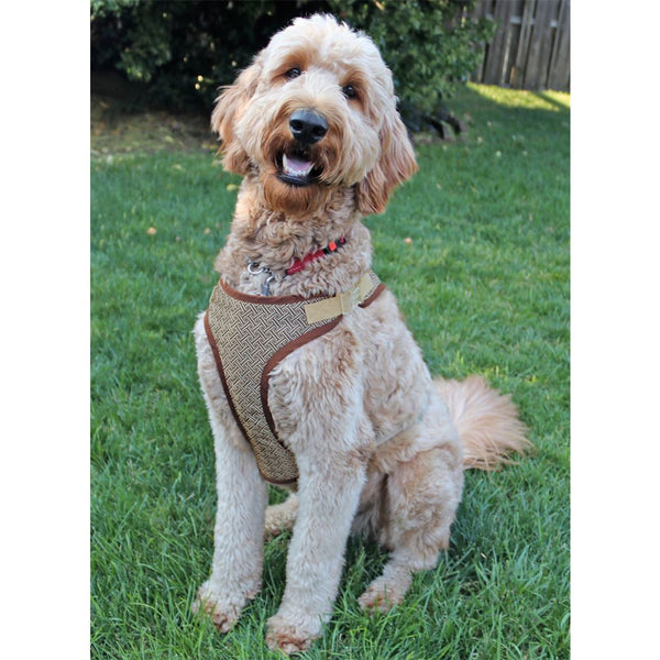 Simplicity Sewing Pattern S9664 Dog Harness in Sizes S-M-L and Leash ...